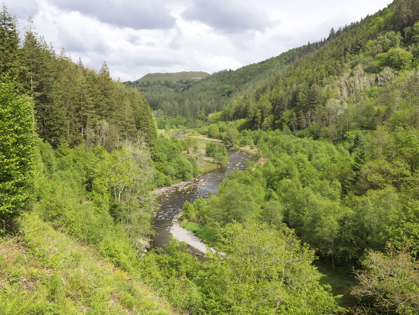 Afon Ystwyth, Hafod Estate, Ceredigion | Coedmor Cottages Wales