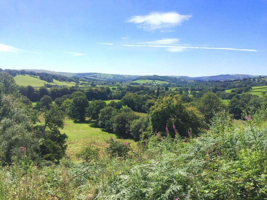 Dolaucothi Estate & Gold Mines, National Trust, Pumsaint